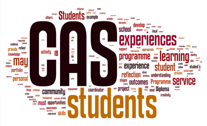 Grade 11 & 12 CAS Program
